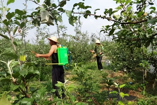 News - The role of foliar fertilizers